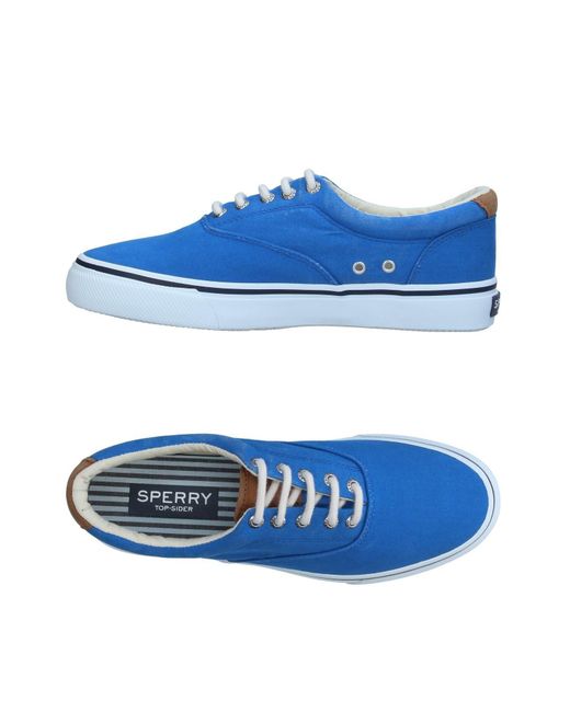 Sperry top-sider Low-tops & Sneakers in Blue for Men | Lyst